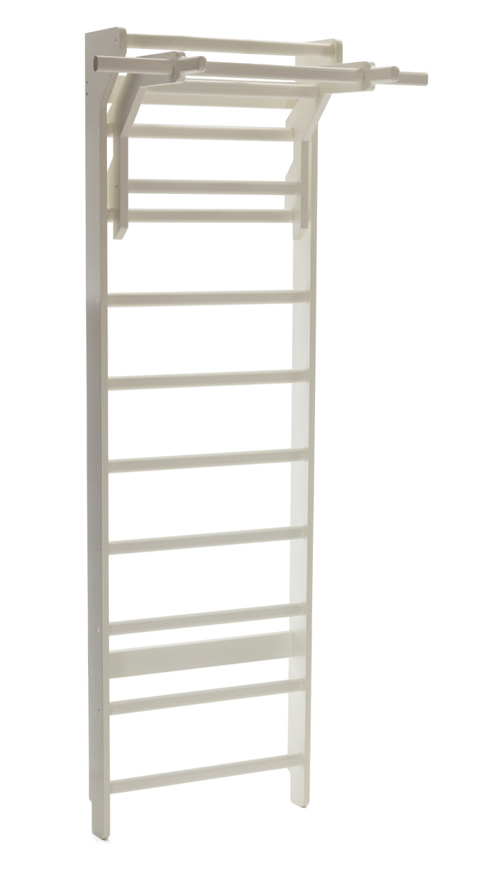 Nala Bars Combo – NALAMOVES